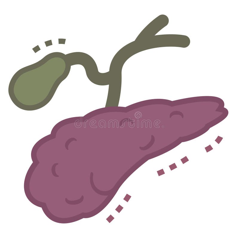 Illustration of the Gall Bladder and Pancreas Stock Vector ...