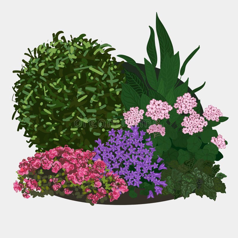 Illustration of Garden Flower Bed Stock Vector - Illustration of ...