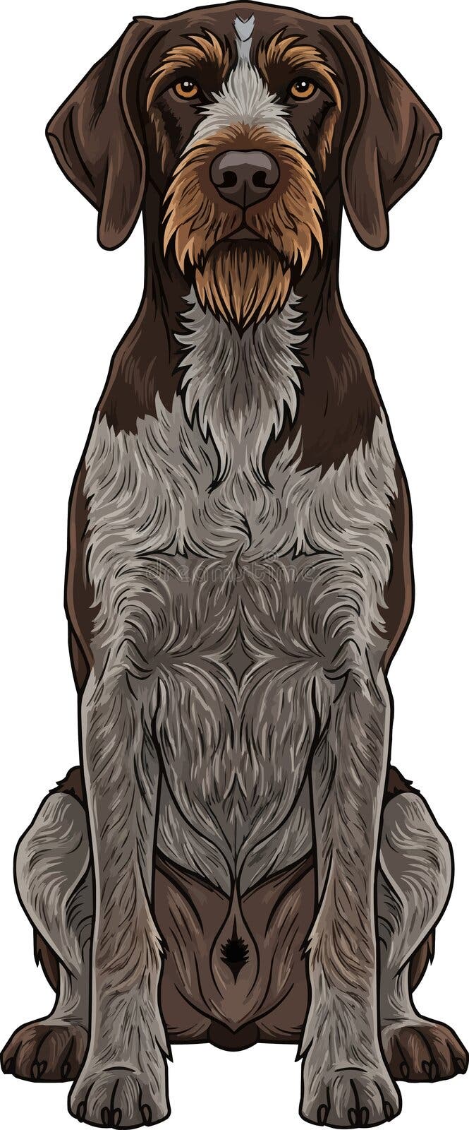 Relaxed Facing Stock Illustrations – 1,888 Relaxed Facing Stock ...