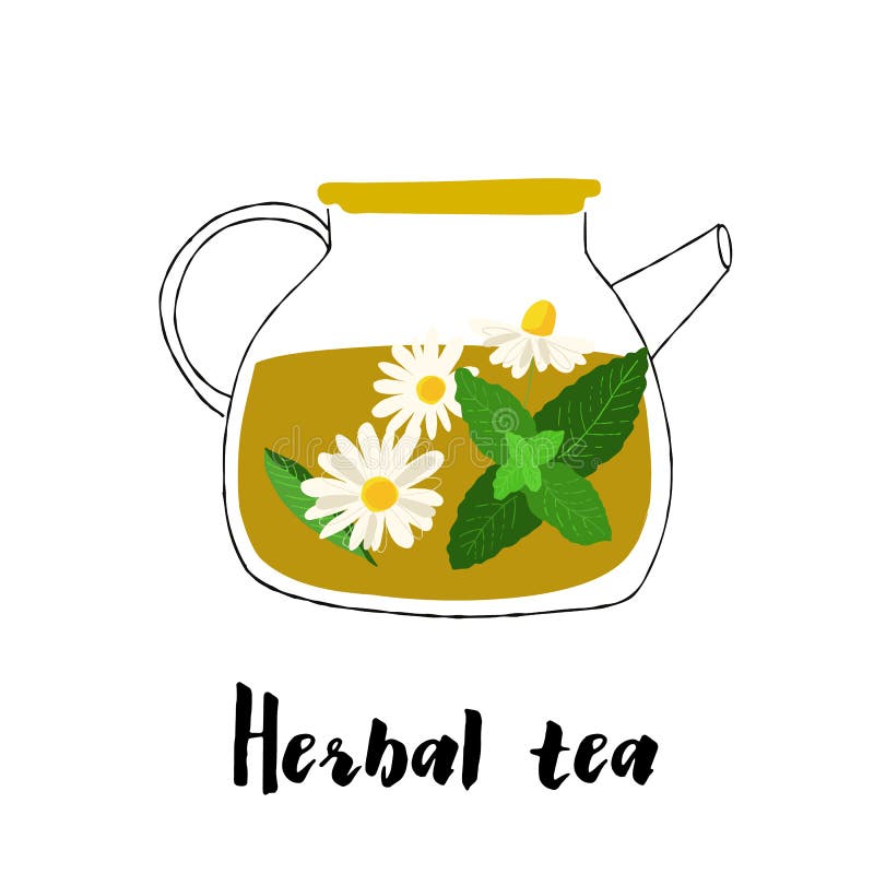 Illustration of a Glass Teapot with Herbal Chamomile and Mint Tea Stock ...