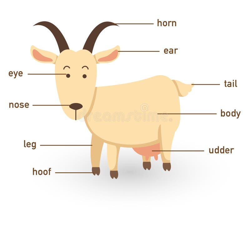 Goat Leg Stock Illustrations – 357 Goat Leg Stock Illustrations ...