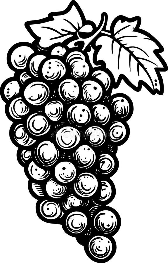Illustration. Grape Cartoon on White Stock Illustration - Illustration ...