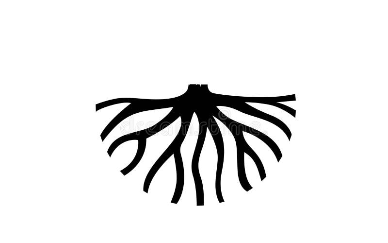 Illustration Vector Graphic of Abstract Life Root on White Background ...
