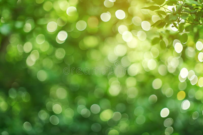 Green Bokeh Abstract Light Background, Defocused Nature Background ...