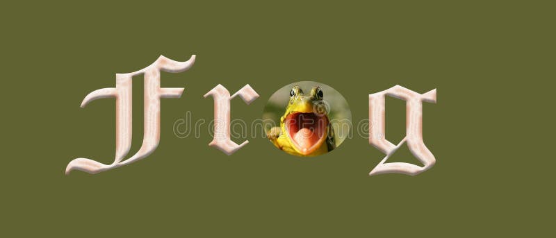 Frog Calligraphy Template Text for Your Design Illustration Concept ...
