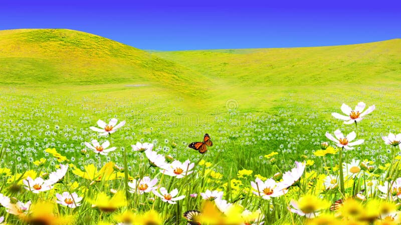 Illustration of Green Meadows and Flowers Stock Footage - Video of grow ...