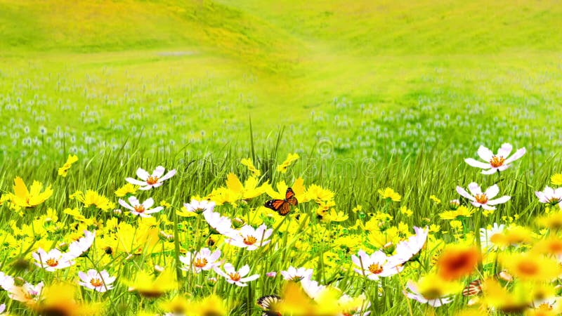 Illustration of Green Meadows and Flowers Stock Footage - Video of ...