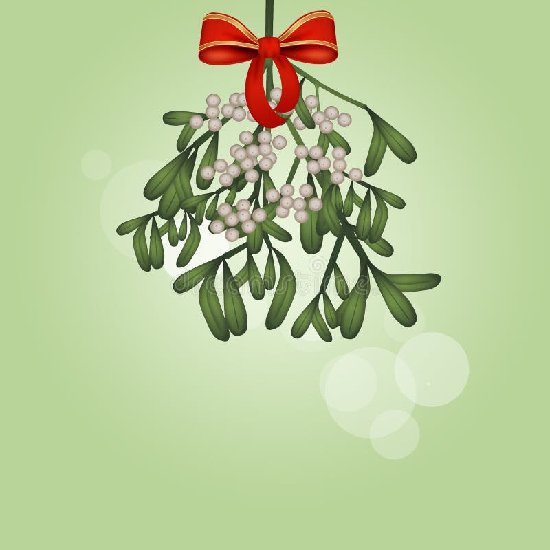Hanging mistletoe stock vector. Illustration of mistletoe - 17088543