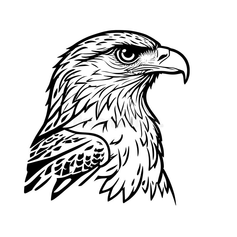 Elegant Hawk Icon in Simple Line Art Style Stock Vector - Illustration ...