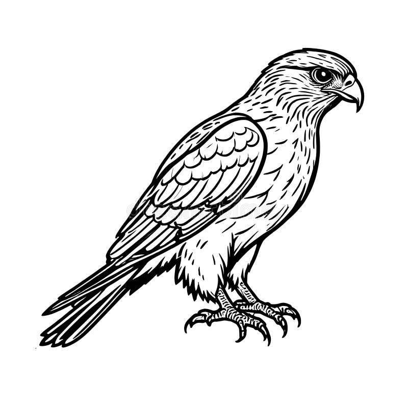Featuring Hawk Icon in Simple Line Art Style Stock Vector ...
