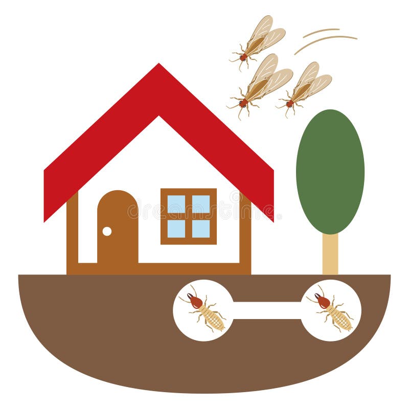 Illustration of a House Invaded by Termites Stock Vector - Illustration ...