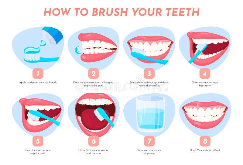 Illustration of How To Brush Your Teeth. Step-by-step Dental Care ...