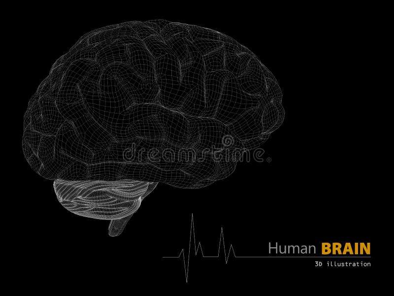 Illustration of Human Brain on Black Background Stock Image - Image of ...
