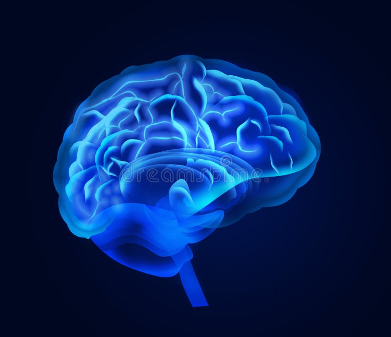 Illustration of Human Brain on Background Stock Illustration ...