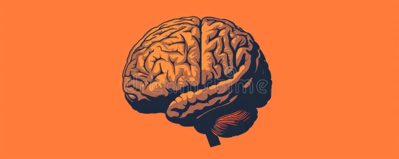 Illustration of Human Brain on Orange Background Stock Image - Image of ...