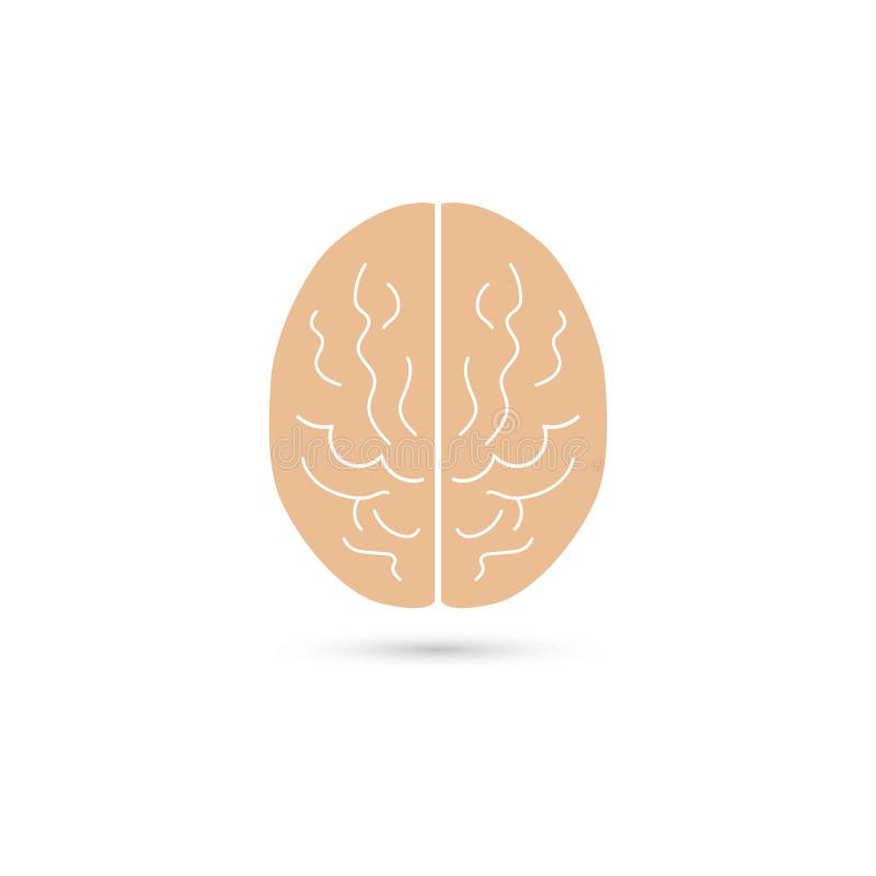 Illustration of Human Cerebral Cortex Stock Vector - Illustration of ...