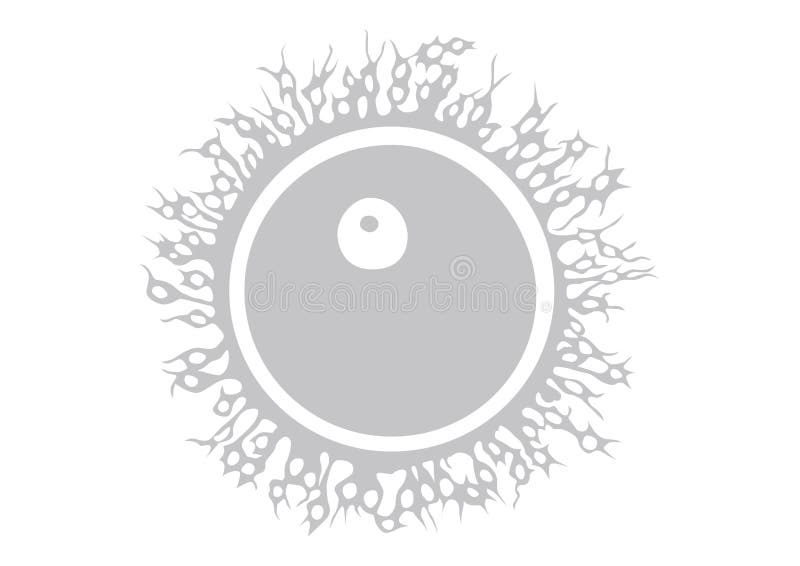 Illustration of Human Egg Silhouette. Stock Vector - Illustration of ...