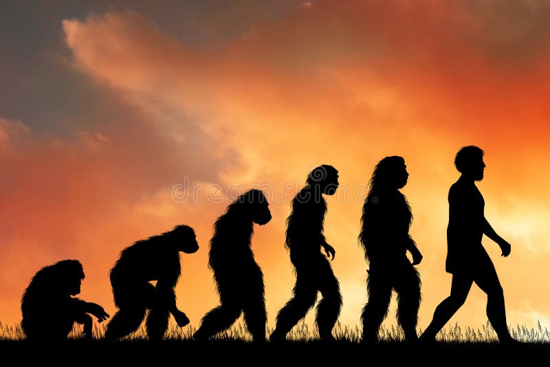 Evolution Illustration Stock Illustrations – 67,749 Evolution ...