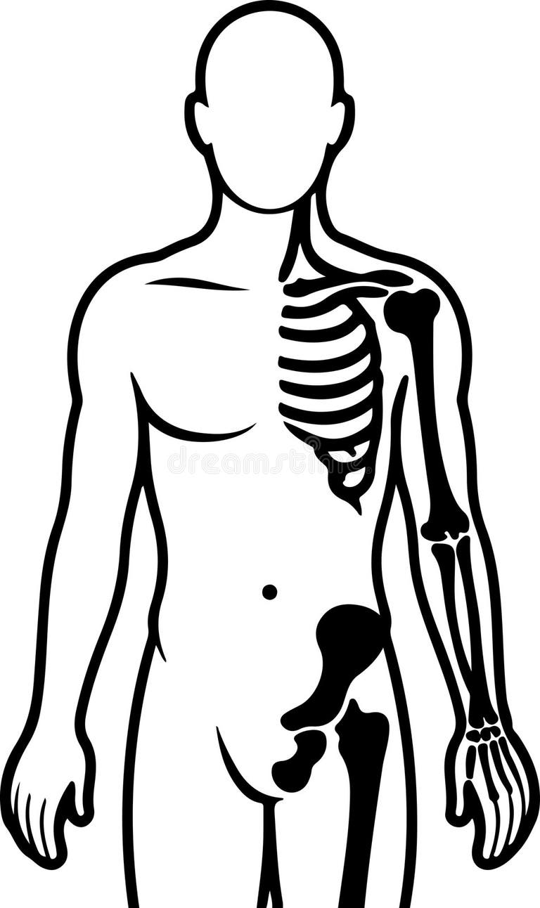 Human Leg Outline Stock Illustrations – 11,224 Human Leg Outline Stock ...