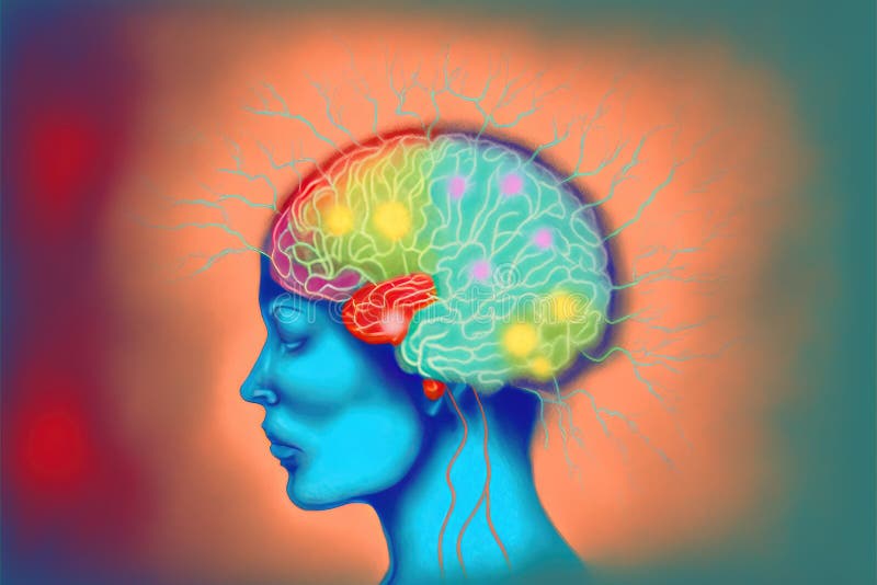 Illustration of a Human Head and Brain. Thinking Concept. Neurological ...