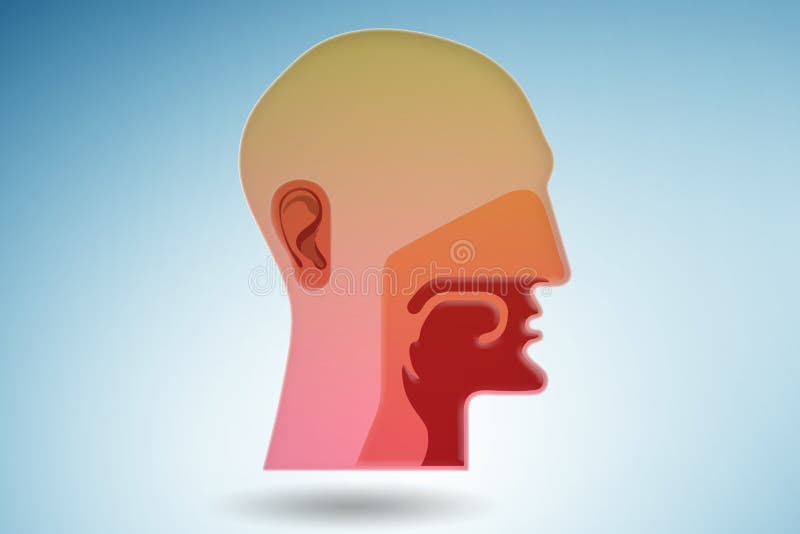Illustration of Human Head with Various Organs Stock Illustration ...