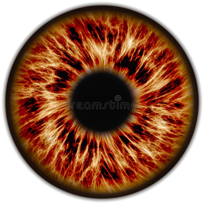 Illustration of a Human Iris. Stock Illustration - Illustration of ...