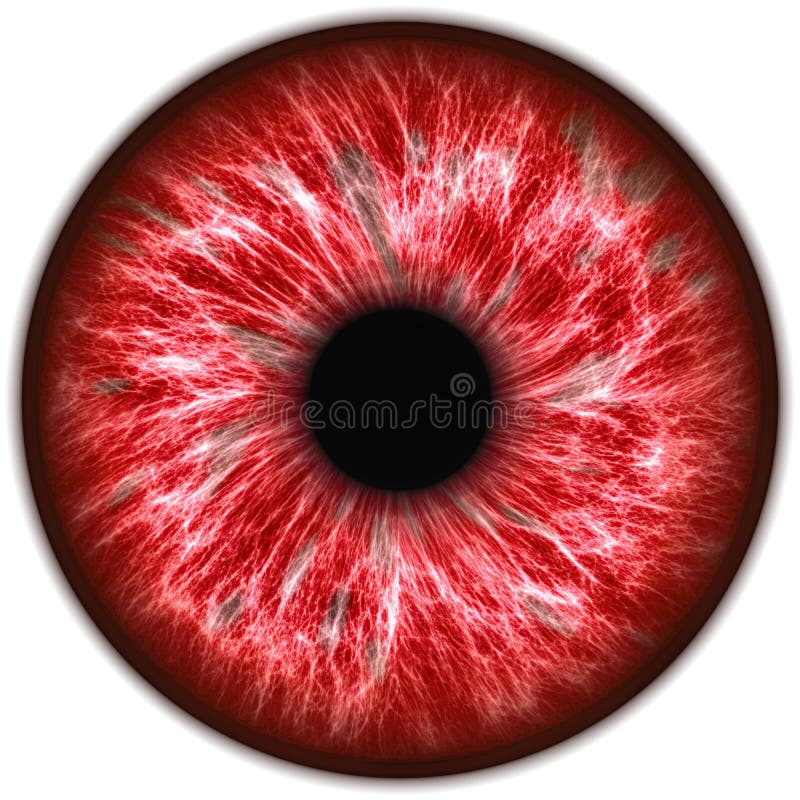 Illustration of a Human Iris. Stock Illustration - Illustration of ...