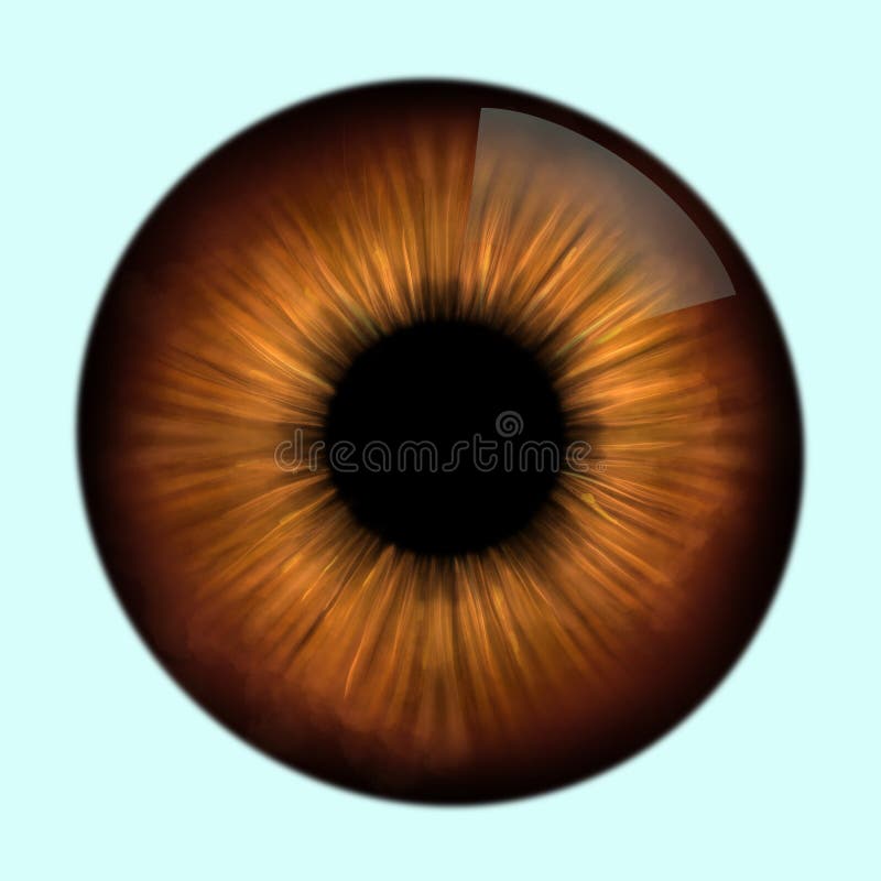 Illustration of a Human Iris. Digital Artwork Creative Graphic Design. Stock Illustration ...