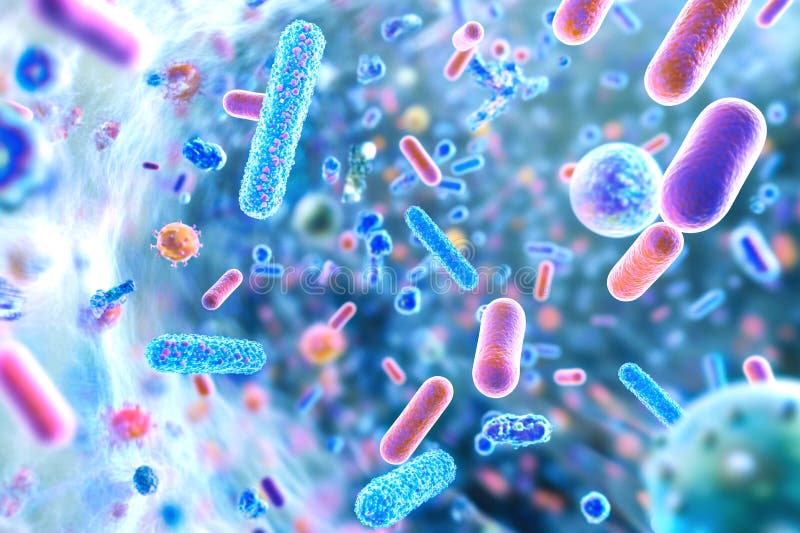 Illustration of the Human Microbiome Interacting with the Immune System ...