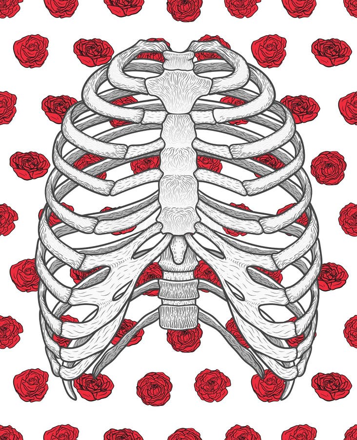 Illustration of Human Rib Cage with Roses. Line Art Style Stock Vector ...