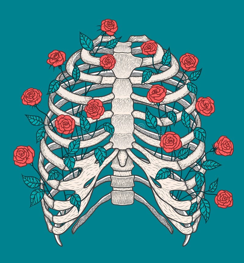 Illustration of Human Rib Cage with Roses. Line Art Style. Boho Vector ...