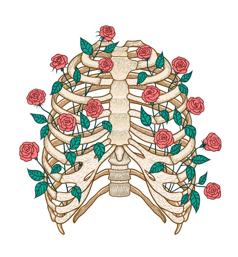 Flower Rib Cage Art Tumblr