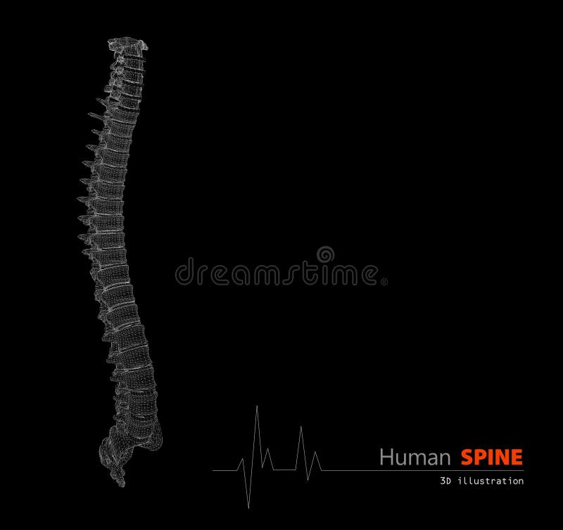 Illustration of Human Spine Abstract Scientific Background Stock ...