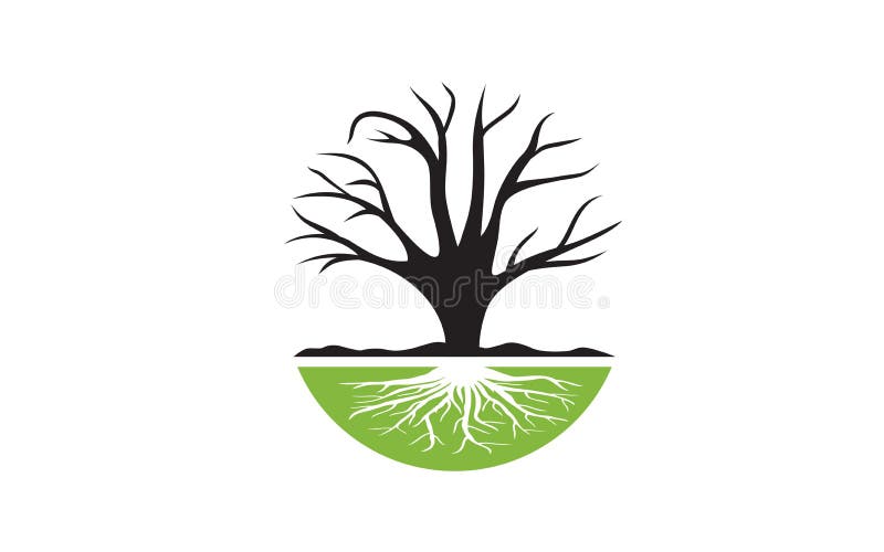Illustration Icon of the Root Design Stock Vector - Illustration of ...