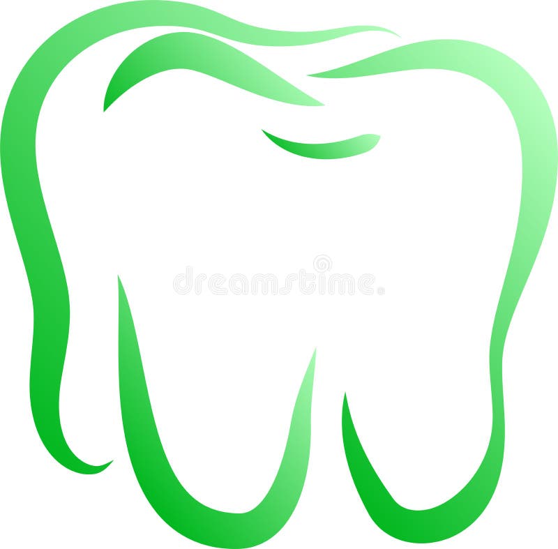 Natural Line Drawing of Tooth Stock Vector - Illustration of teeth ...