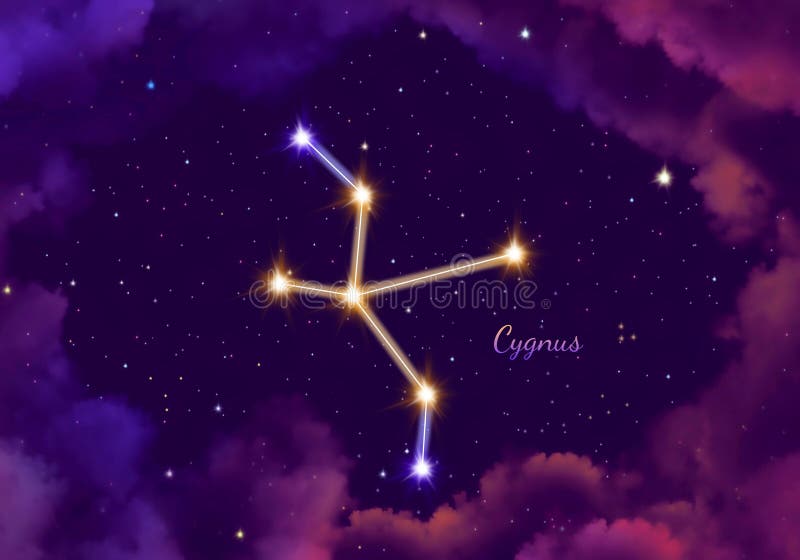 Constellation Cygnus stock vector. Illustration of drawing - 18611125