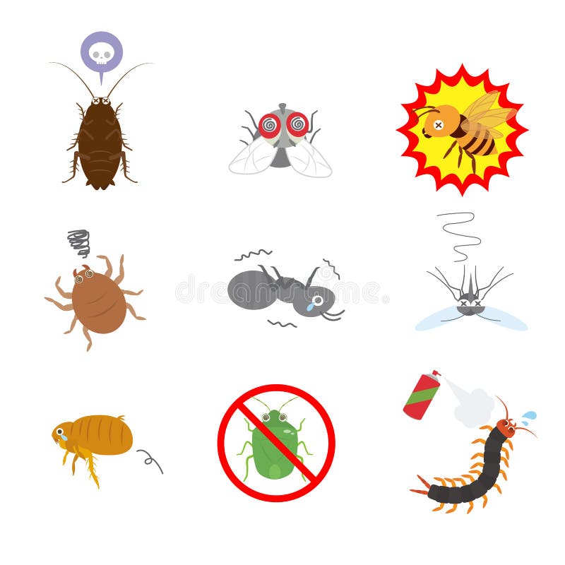 Stink Bug Character Stock Illustrations – 31 Stink Bug Character Stock ...