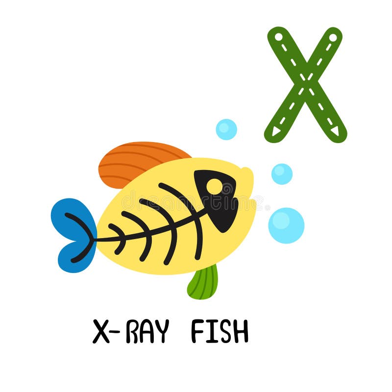 Animal Alphabet Letter X-X Ray Fish Stock Vector - Illustration of ...