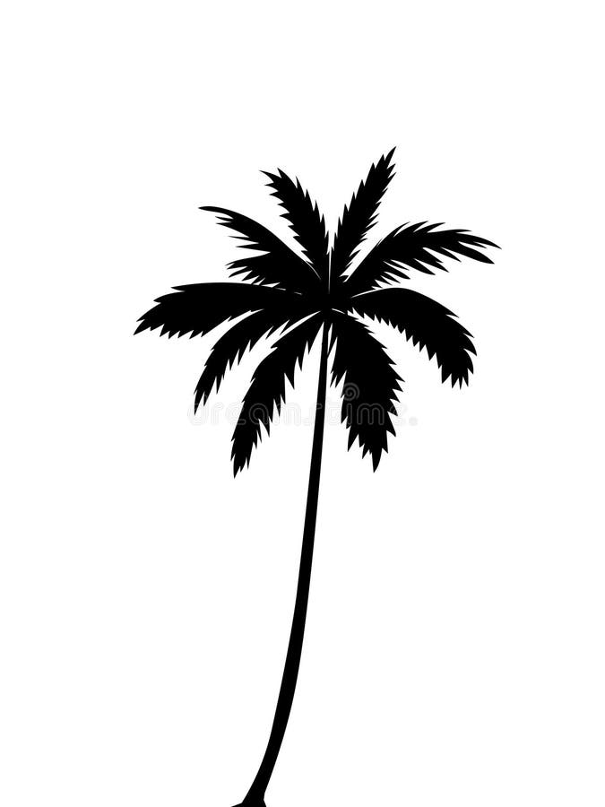 Vector Black Silhouette of a Palm Tree Stock Vector - Illustration of ... Vector Black Silhouette of a Palm Tree Stock Vector - Illustration of ...