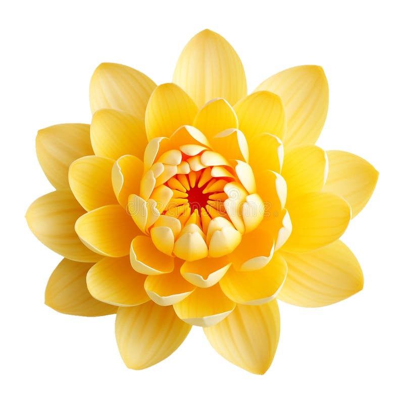 Illustration of Isolated Yellow Lotus Flower. Created with Generative ...
