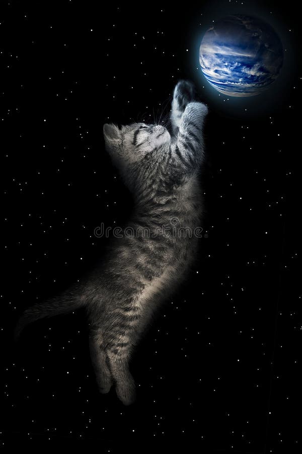 Illustration. Kitten is Playing with the Planet in Space Stock ...