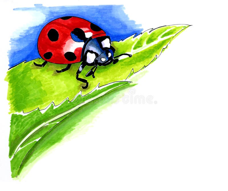 Red lady bird stock illustration. Illustration of summer - 10520789
