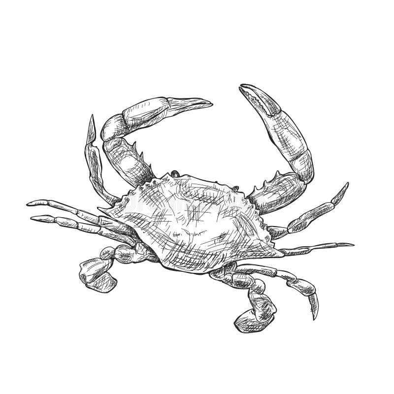 Scary Crab Stock Illustrations – 207 Scary Crab Stock Illustrations ...
