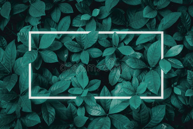 Illustration of a Large Dark Green Leaf with Soft Neon Light Stock ...