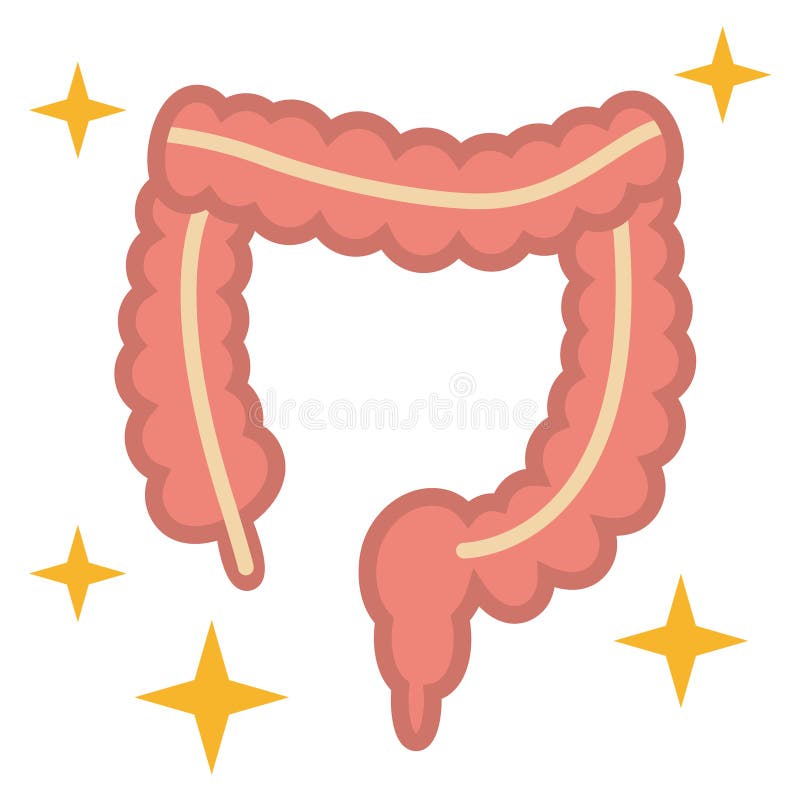 Illustration of Large Intestine Stock Vector - Illustration of white ...