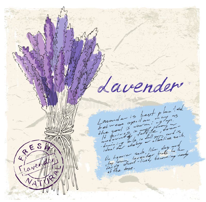 Lavender Background, Product Label Packaging Design Stock Vector ...