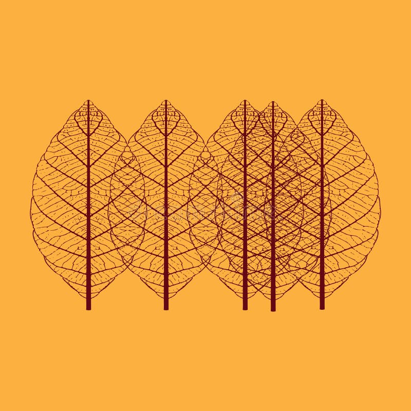 Illustration of Leaf Skeletonization Stock Vector - Illustration of ...