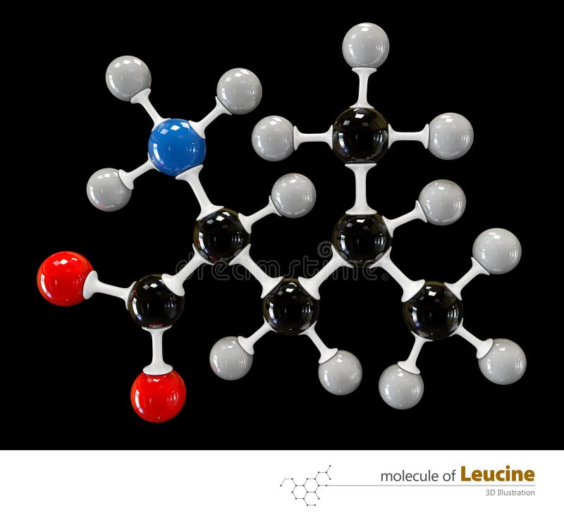 Illustration of Leucine Molecule Isolated Black Background Stock ...