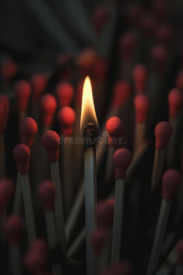 Illustration of a Lit Match among Extinguished Matches Stock ...