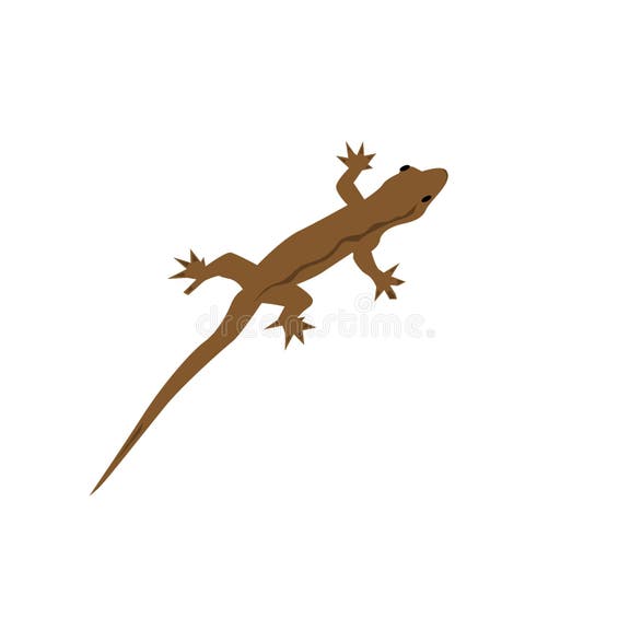 Illustration of a Lizard Crawling on the Wall Looking for Insects Stock ...